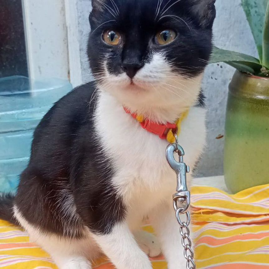 Мальчик 5 мес