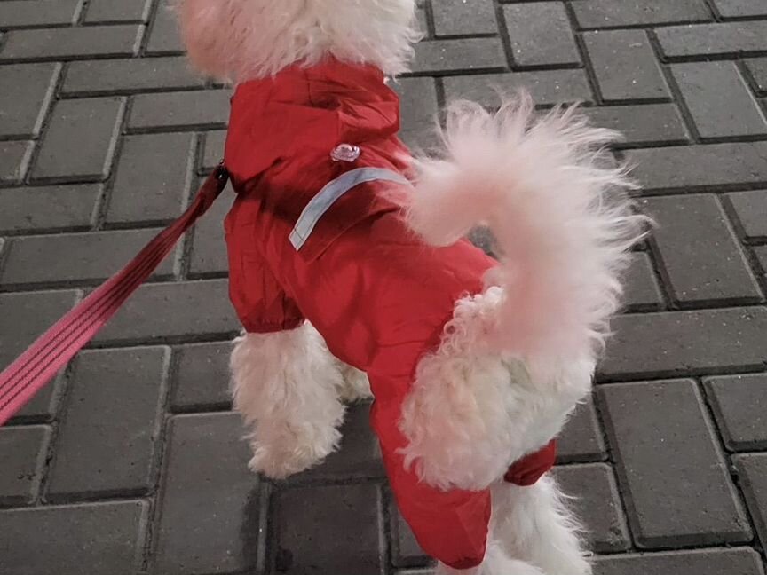 Костюмчик желтый для собаки