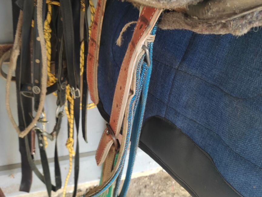 Седло для лошади