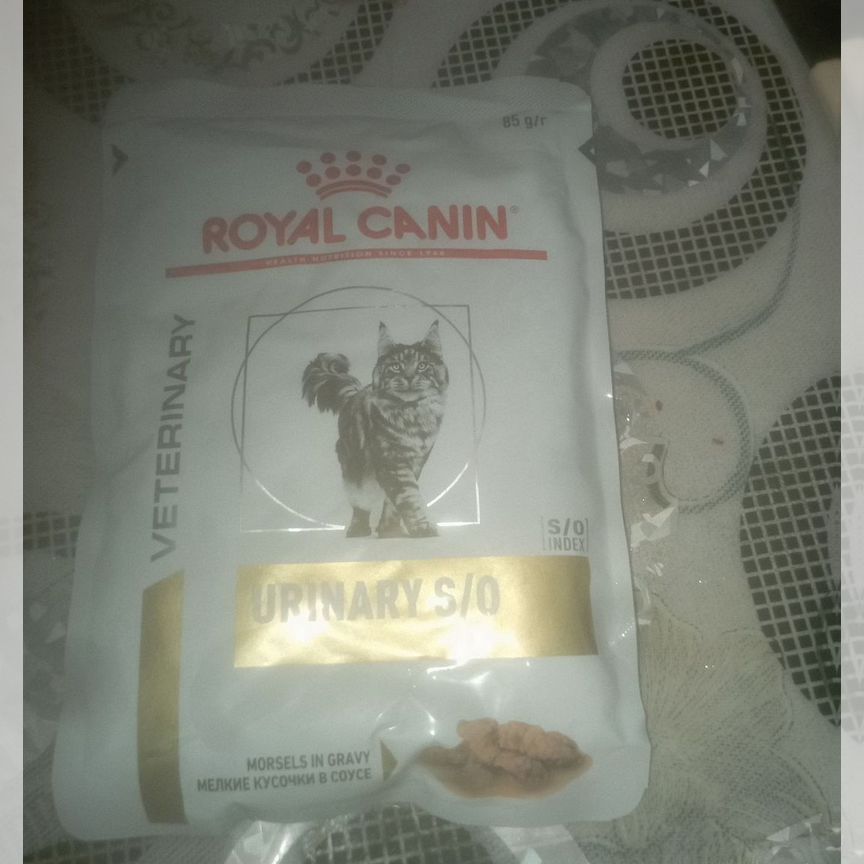 Влажный корм для кошек royal canin