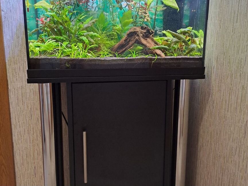 Аквариум с рыбками