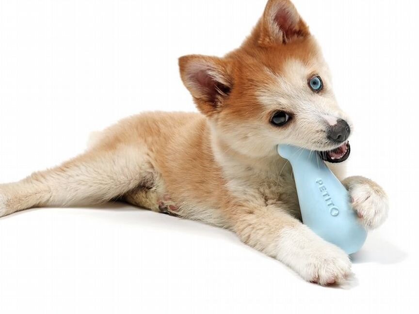 Игрушка для лакомств petit "Chico"