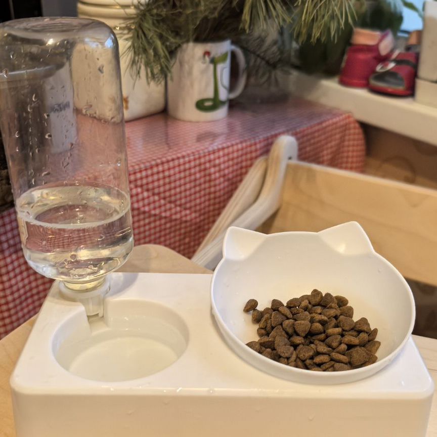 Миска для животных на подставке с автопоилкой