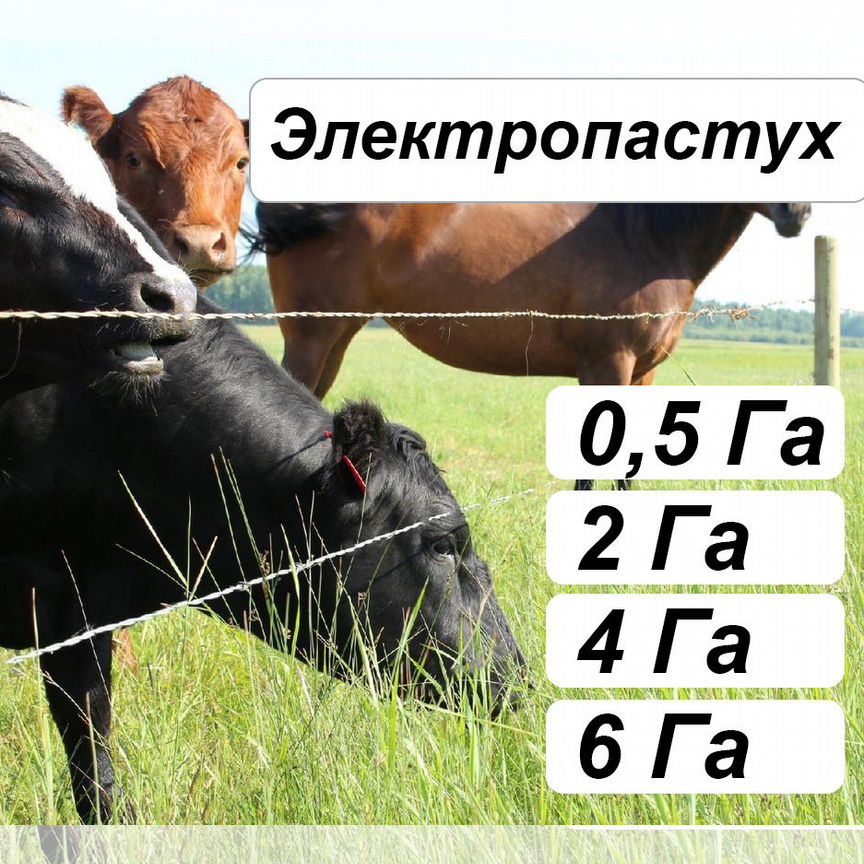 Электропастух для крс на 0,5 Га, 2 Га, 4 Га, 6 Га