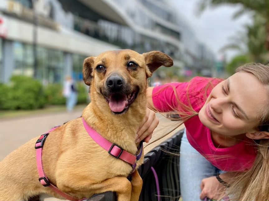 Дюша в добрые руки