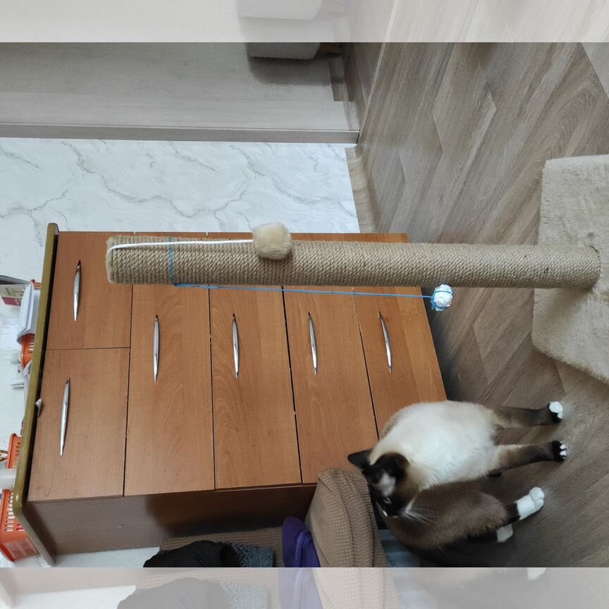 Когтеточка столбик 80см