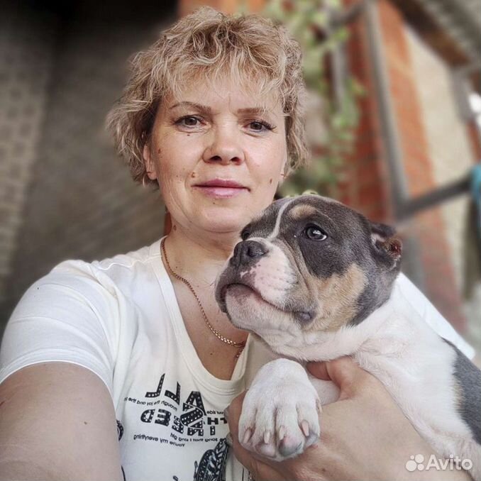 Щенки Ам-буля