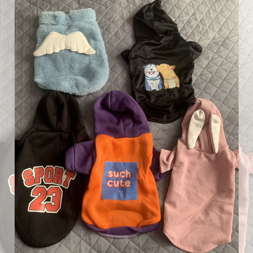 Одежда для кошек и собак