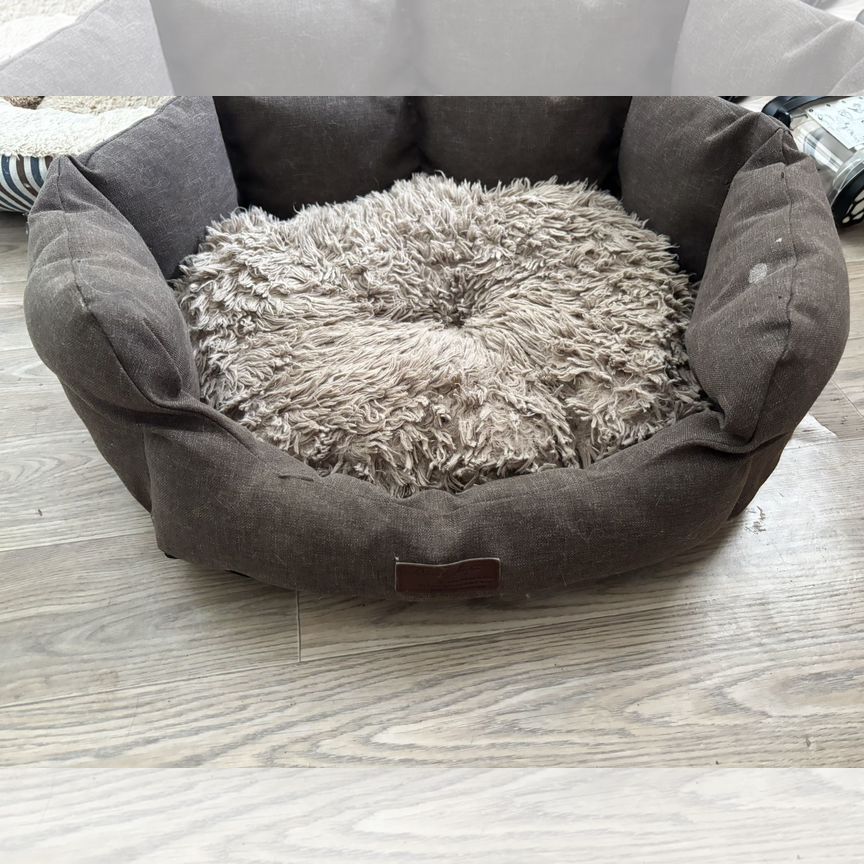 Лежанка для собак