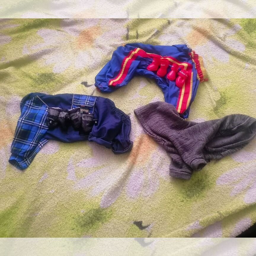 Вещи на мелких породу