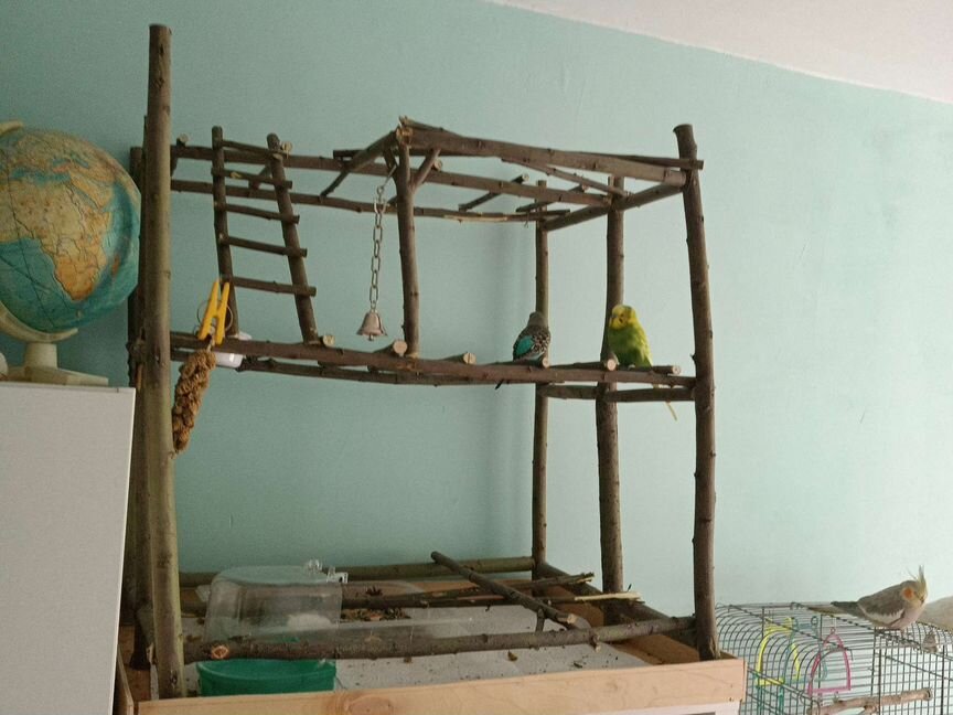 Игровая площадка для попугаев