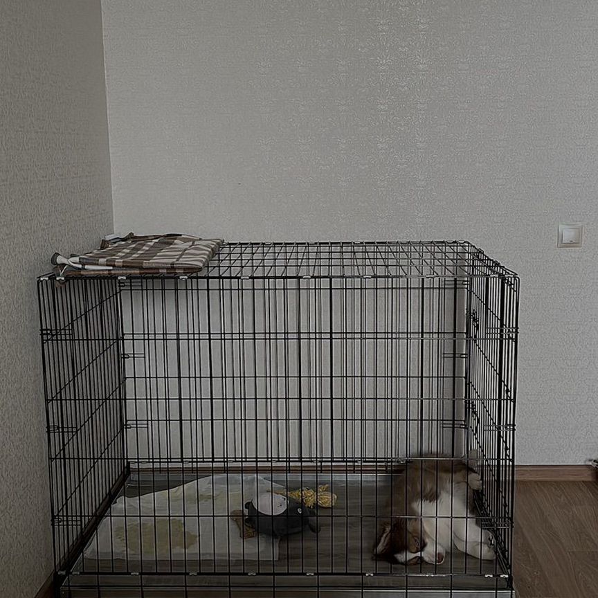 Клетка для собак #6