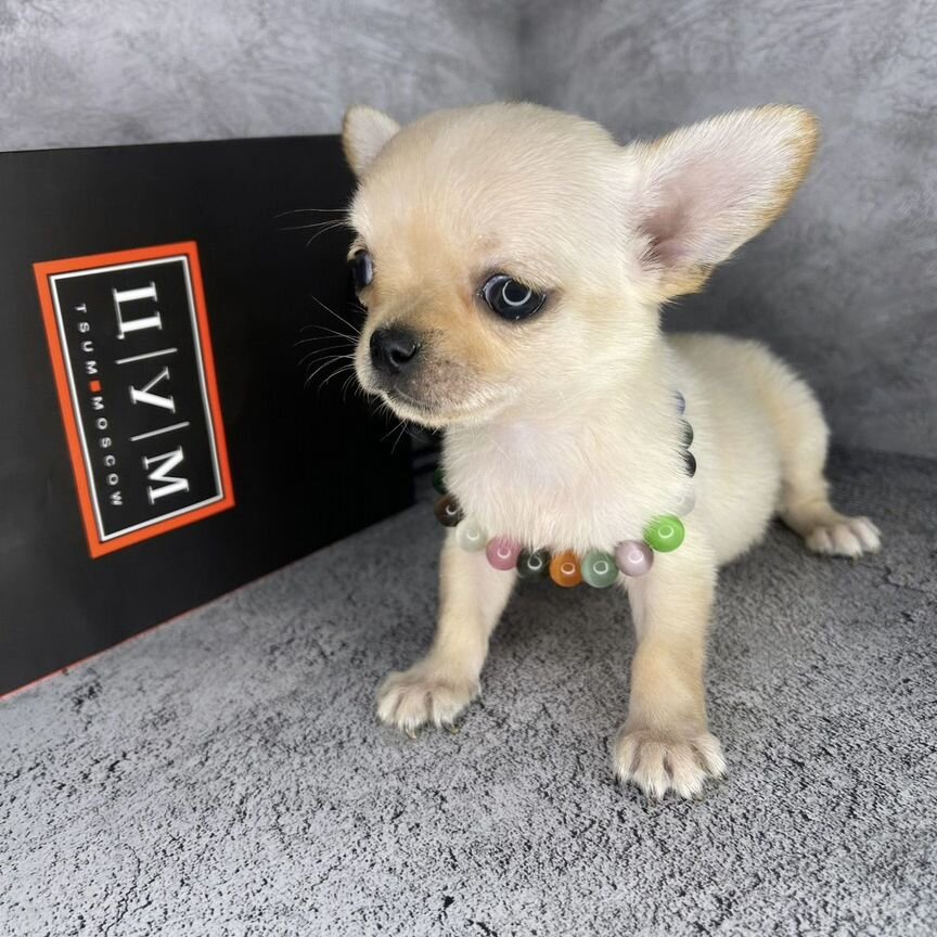 Super mini кукольный малыш