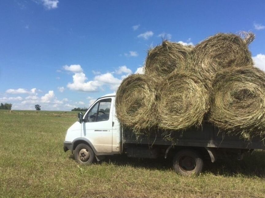 Сено в тюках