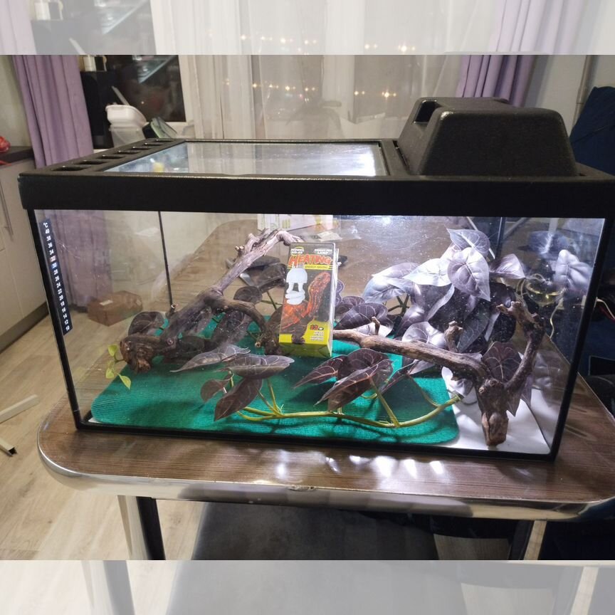 Террариум - аквариум