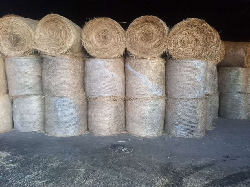 Сено в рулонах