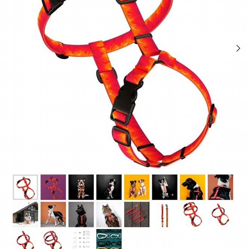 Шлейка для собаки Bender and Frai