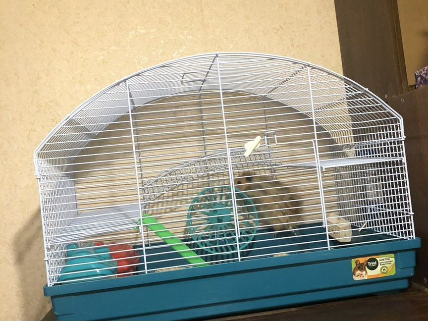 Клетка для грызунов