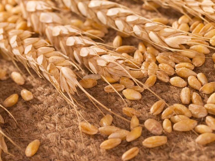 Продажа зерна