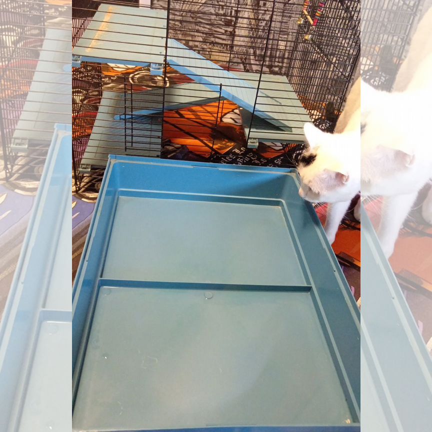 Клетка для грызунов большая бу