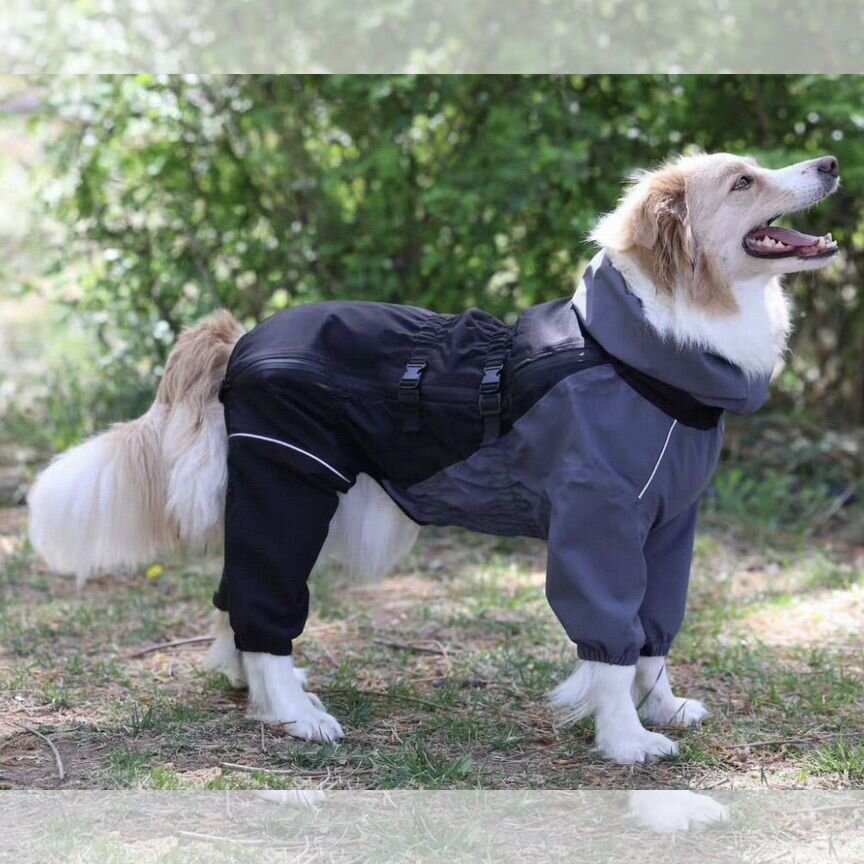Костюм дождевик для собаки (для средней собаки)