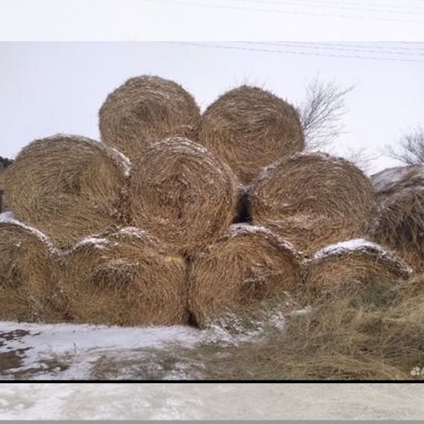 Солома в рулонах