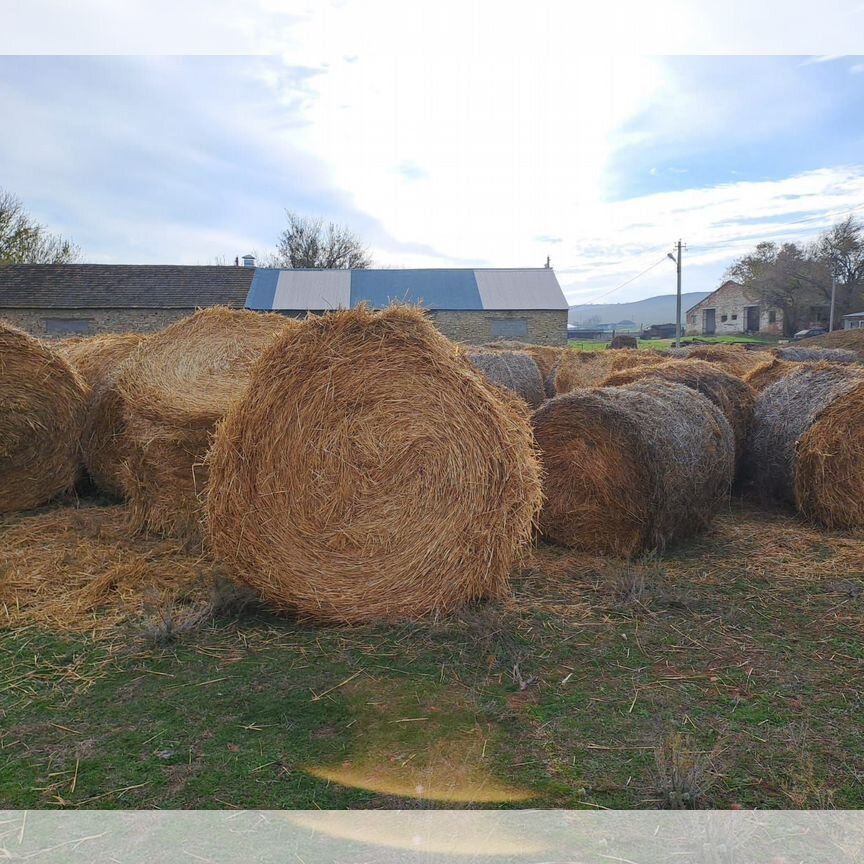 Гороховая и ячменная солома в рулонах с доставкой
