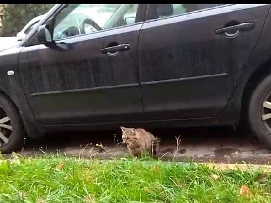 Жизненно необходим Финансовый куратор