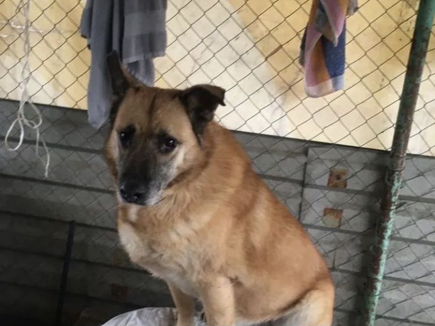 Пожилой Джерри хочет встретить достойную старость