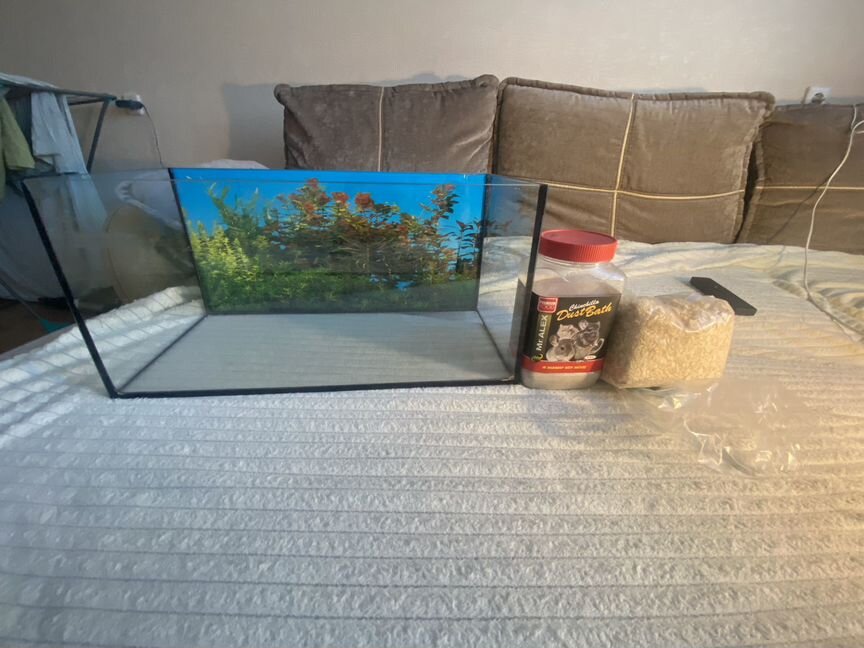 Террариум для сухопутной черепахи