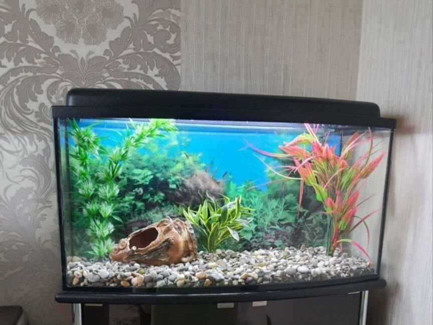 Аквариум с тумбой бу