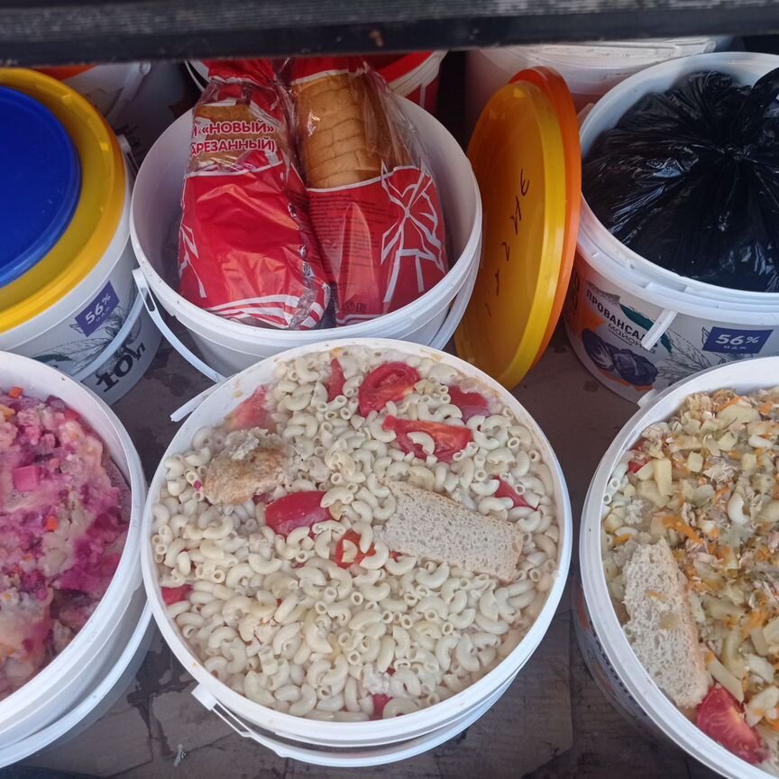 Пищевые отходы для животных