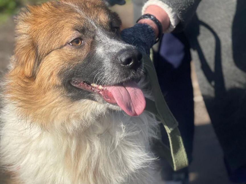 Рей ищет свою семью