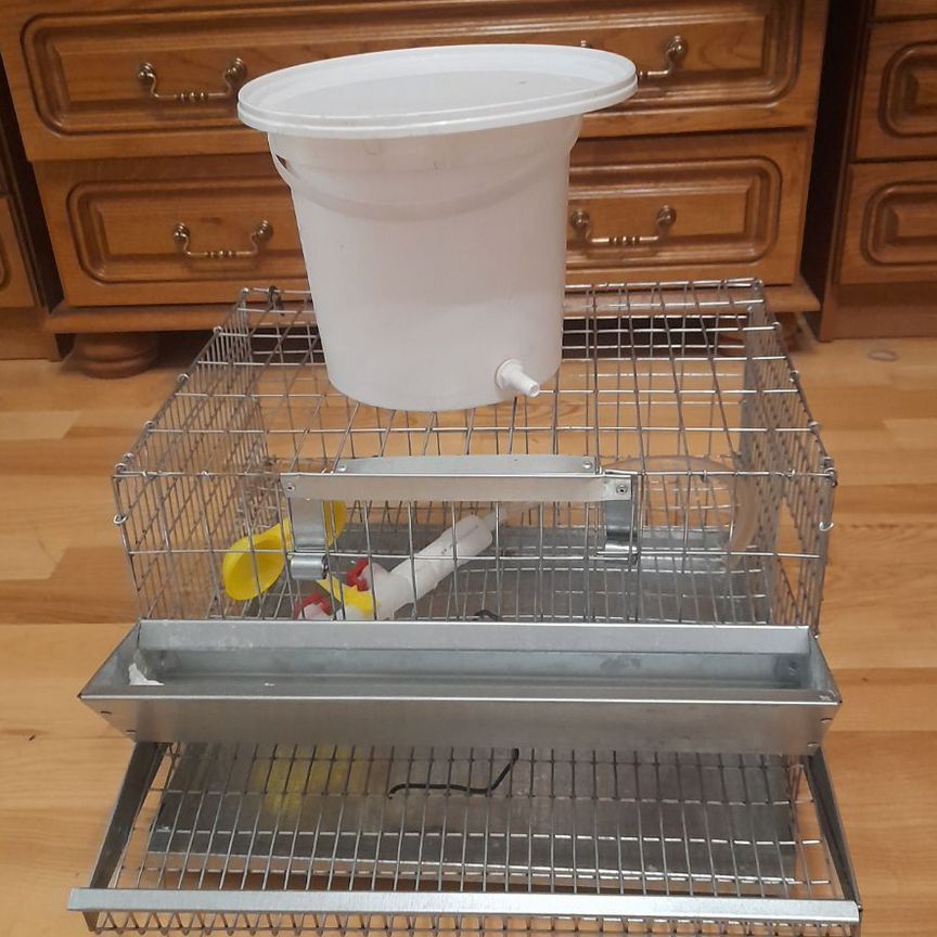 Клетка для перепелок