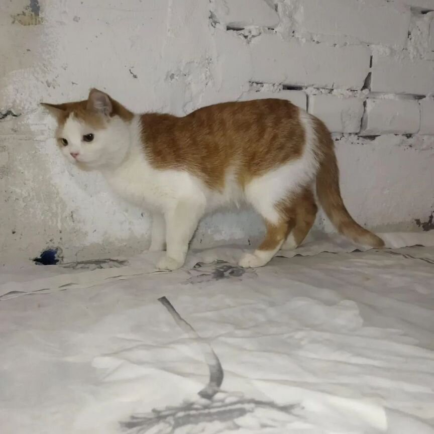 Её никто не хочет брать