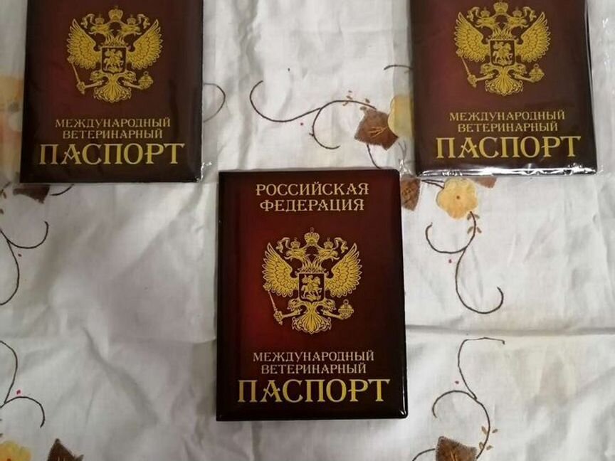 Обложка на паспорт для собак