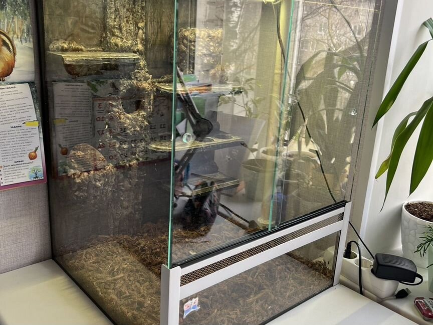 Террариум с фоном и подсветкой