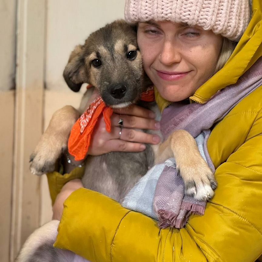 Щенок в дар