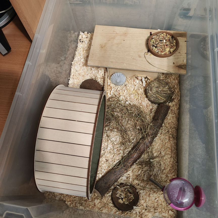 Контейнер для хомяка, клетка для хомяка