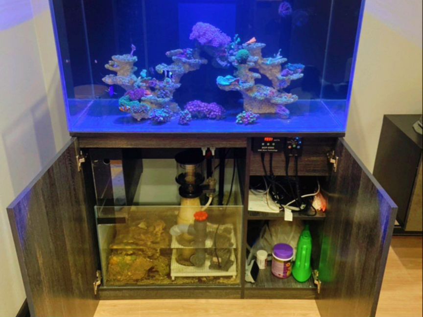 Аквариум по индивидуальным размерам