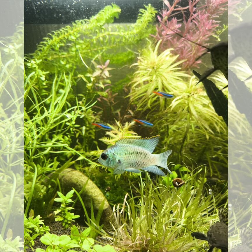 Нанокара электрик блю