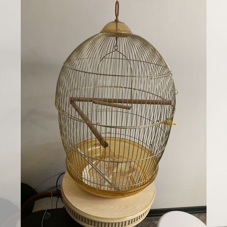 Попугай клетка