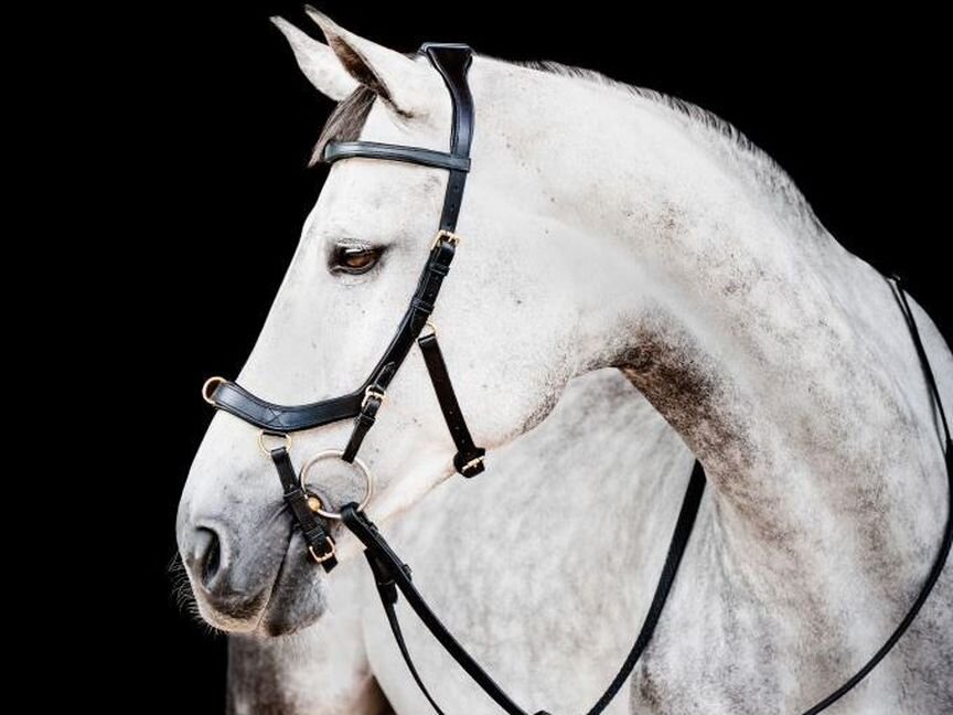 Анатомическая уздечка micklem (оригинальные)