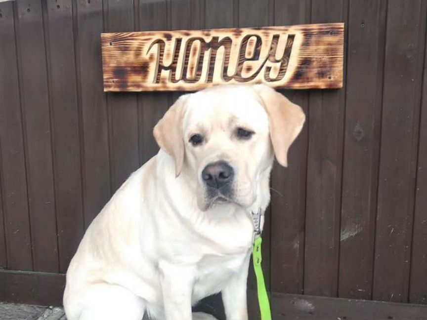 Таблички на вольер