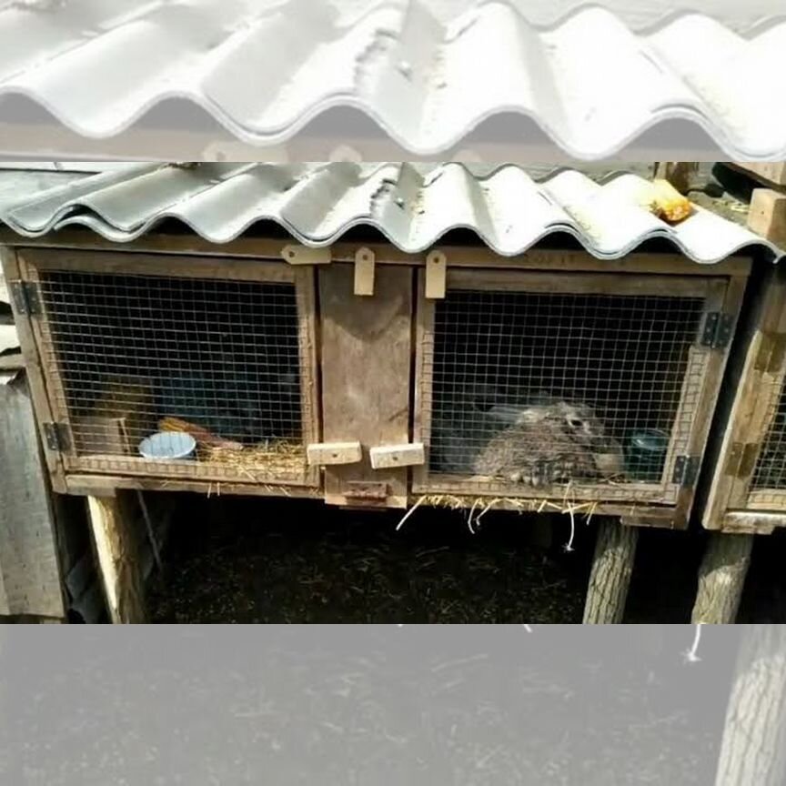 Клетки для кролика