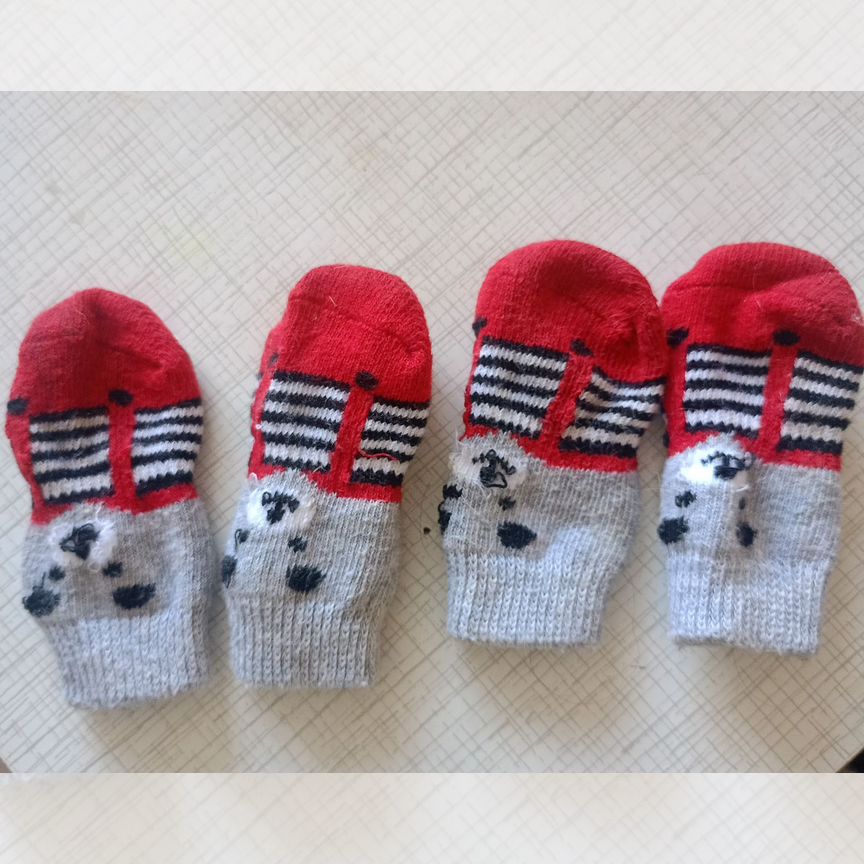 Носочки для собак