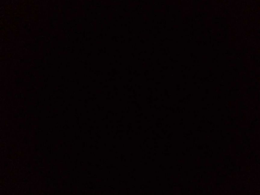 Хлеб на корм животным