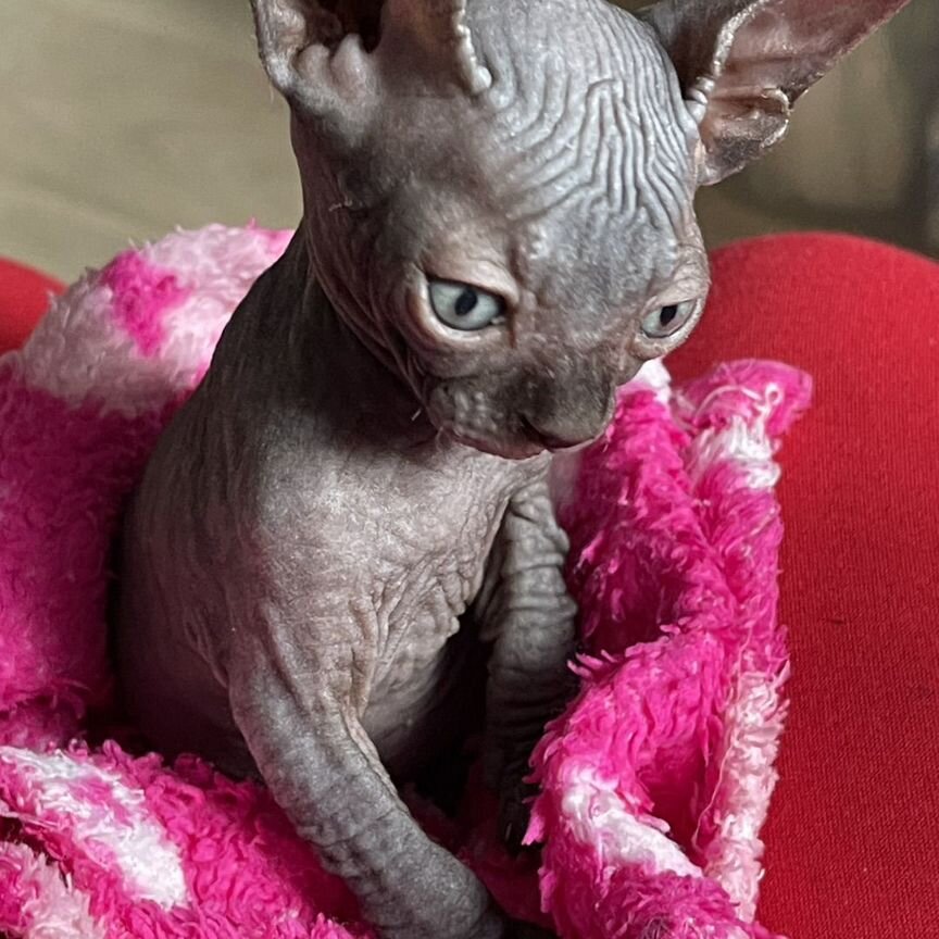 Суперская малышка