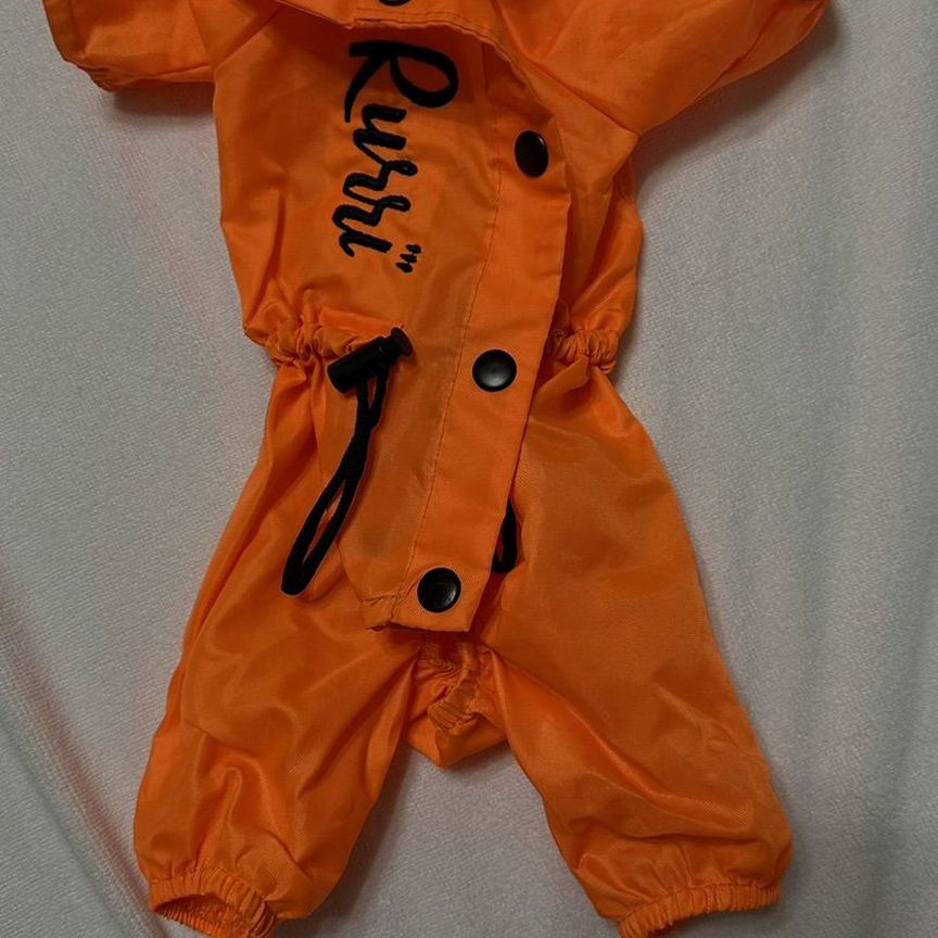 Одежда для чихуахуа