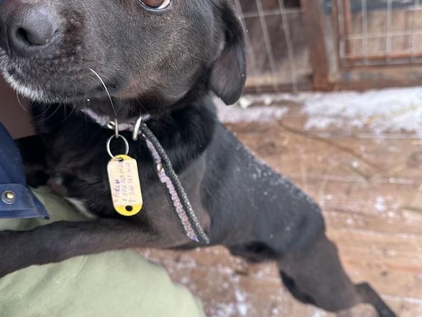 Рокси малышка